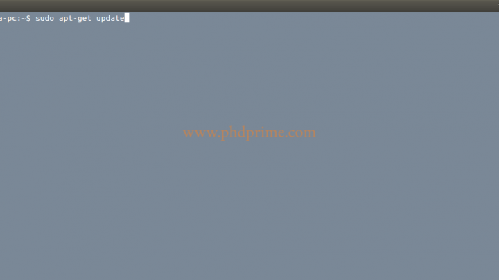 Procedure for Mininet installation