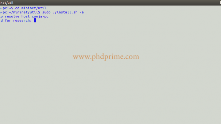Overview of run Mininet on Ubuntu