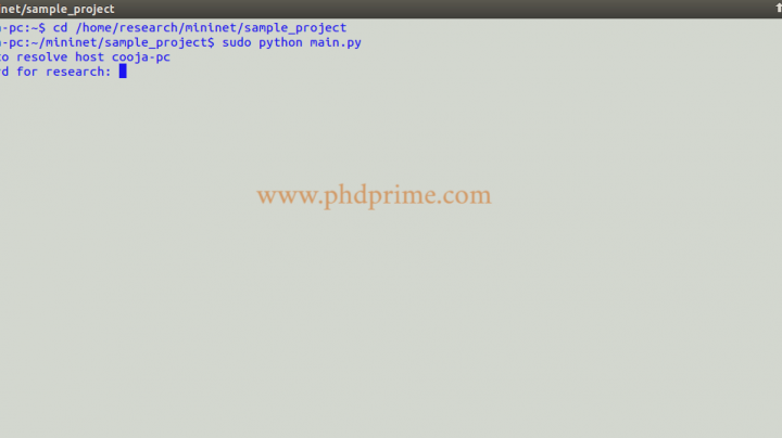 Overview of run Mininet on Ubuntu
