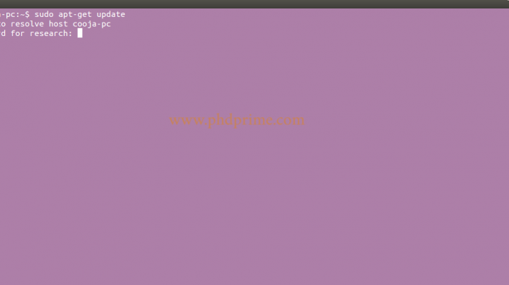 Installation of Mininet on Ubuntu